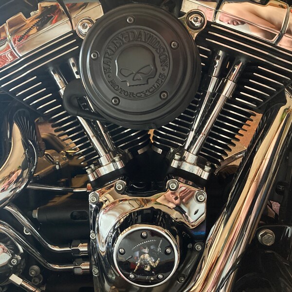 Harley Davidson Custom Made Derby Cover or Timing Cover (your Choice ...