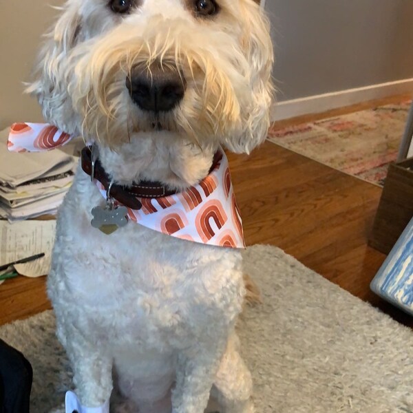Dog Cuffs~non-slip Feature~dog Tuxedo~dog Cuffs With Satin Buttons to ...