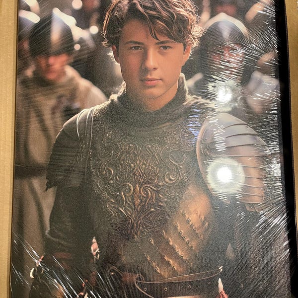 Custom Knight Portrait Painting From Photo, Crusader Knight, Historical ...