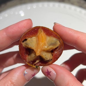 Smoked Dried Periwinkle aka Isam - Etsy