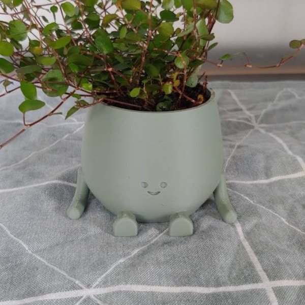 Plant Pot Face Happy Cute Plant Pot Cute Decoration Indoor Planter Pot ...