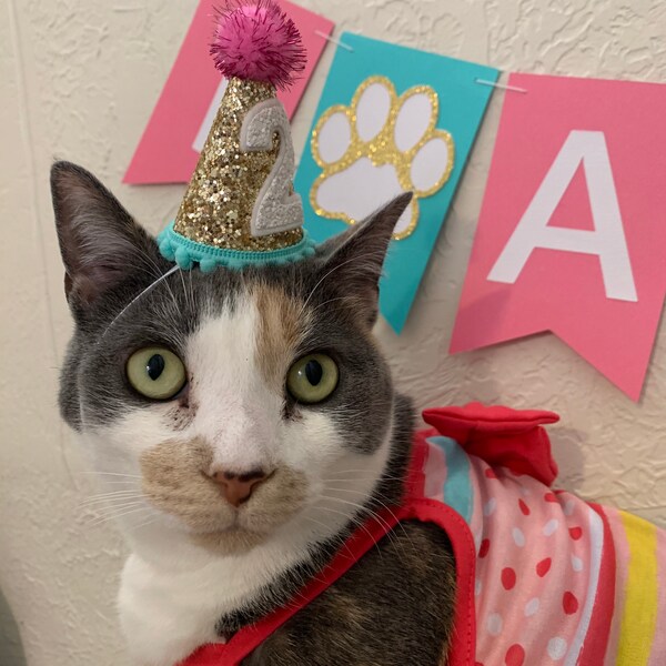 Pet Party Hat | Mini Dog Birthday Party Hat | Mini Dog Party Hat | Cat ...