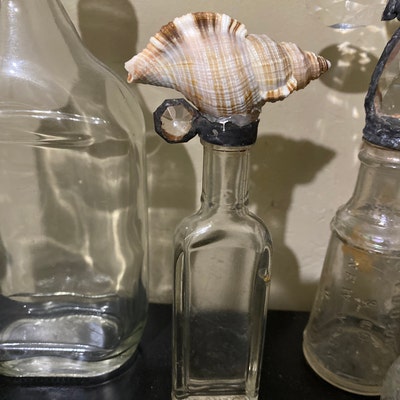 Sea Fan Coral Crystal Shell Shadow Box Wall Art - Etsy