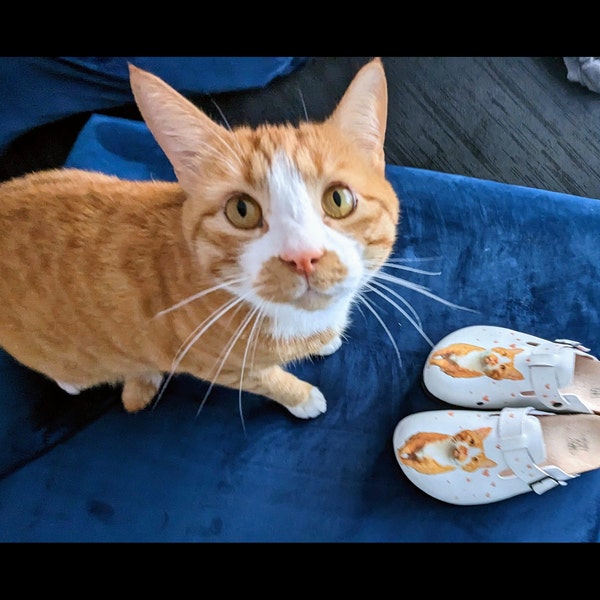 BLACK CAT Themed Comfortable Women's Clogs, CAT Lovers, Cat Lover Gifts ...