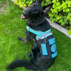 Personal Healthcare Companion Patch - Etsy