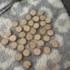 Wood Sticks for Crafts Apple Tree Branches - Etsy