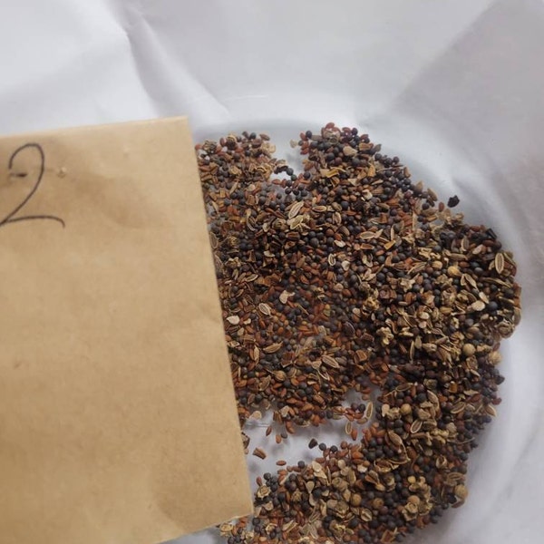 Sweet Potatoes: USDA Certified for Planting 1000 Grams Premium Potato ...