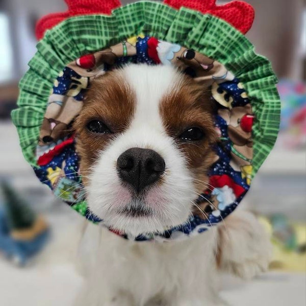 Adjustable Dog Snood: THANKSGIVING TURKEY TROT Snood to Protect Long ...