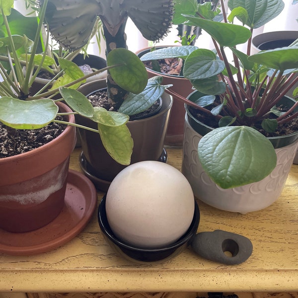 Plant Water Tray Pebbles, Humidifying Clay Balls, Plant Care Accessory ...