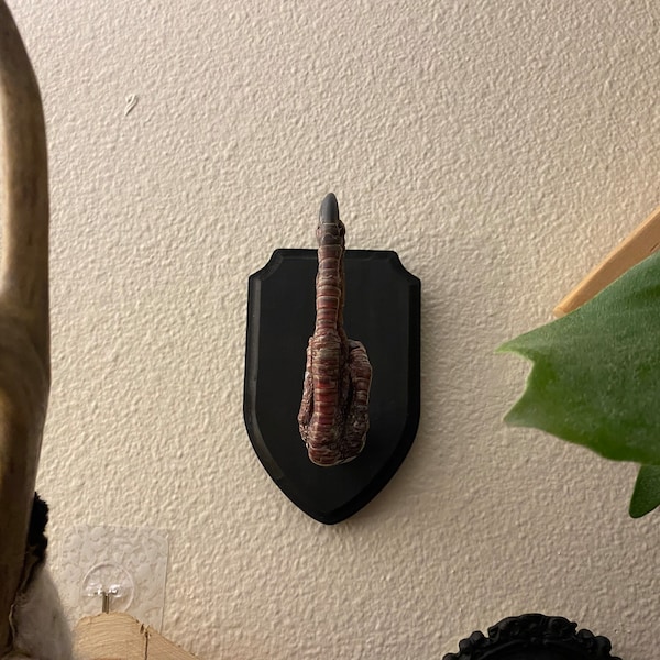 XL Taxidermy Middle Finger THE BIRD Turkey Black Wood Wall Plaque - Etsy