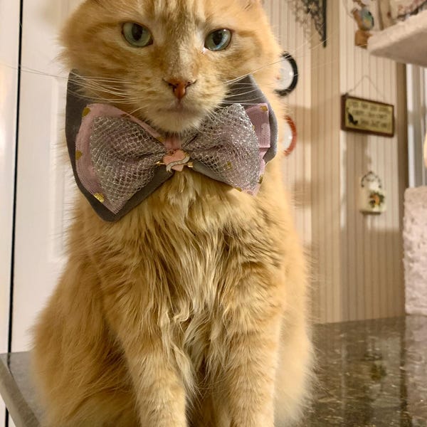 Keiko's MERMAID WHIMSICAL Cape - Cat Costume, Dog Outfit, Gatsby Cape ...