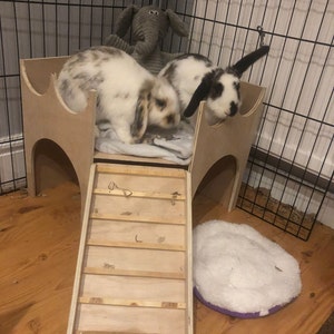 Rabbit House With Two Side Ramps Hideout Hideaway With Ramps | Etsy