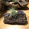 Air Plant Geode Terrarium, Teardrop Hanging Glass Terrarium Kit ...
