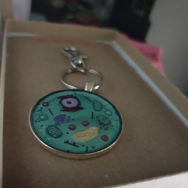 Animal Cell Keychain, Key Ring, Cell Biology, Biology Gift, Science Key ...