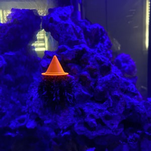 3 Tier Honeycomb Frag Rack System for 20g Long Aquarium - Etsy