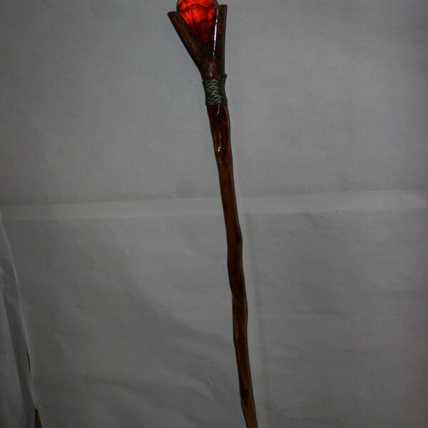 Walking Stick With Handle, Diamond Willow Wood, Rope Hand Grip N ...