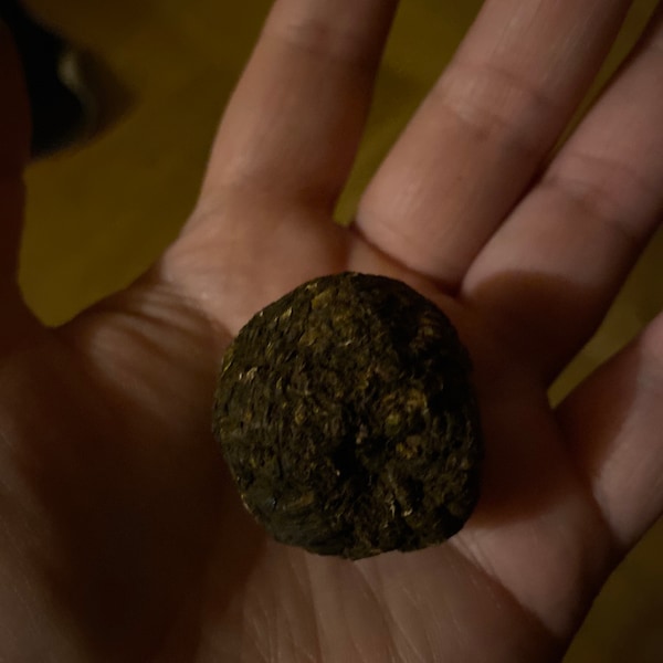 High John Root - Etsy