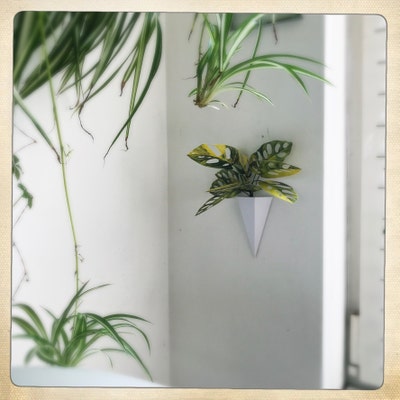 Paper Planter for Paper Plant SVG and PDF, Template Paper Pot DIY - Etsy