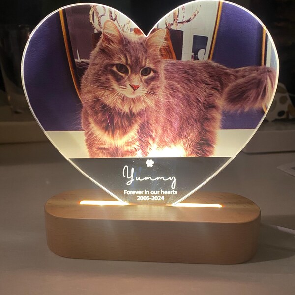 Photo Engraving Custom 3D Acrylic Night Light | Personalized Bedroom ...