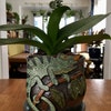 Custom Crow Ceramic Planter-handmade Ceramic Planter-bird Planter ...