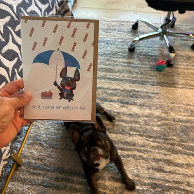 Astronaut Sticker Waterproof Vinyl Decal Frenchie Astronaut Outerspace ...