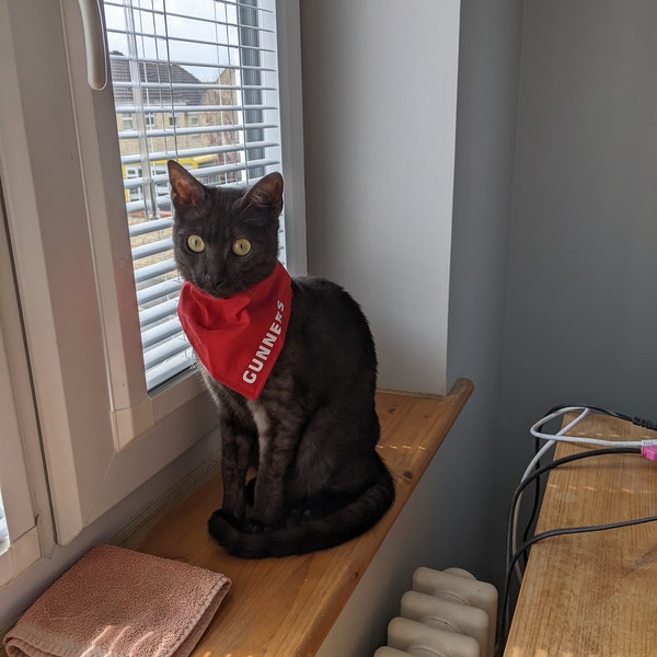 Arsenal Dog Bandana Football AFC Gunners Slide Collar Neckerchief - Etsy