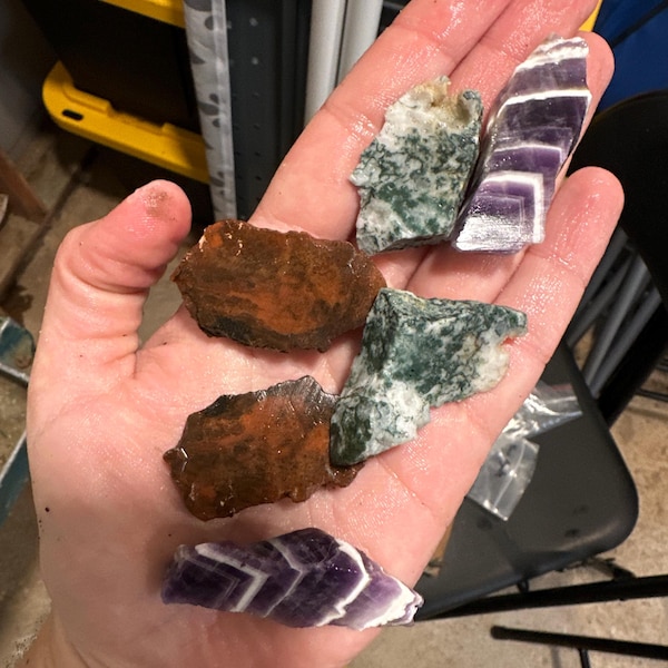 Fossil Mix | Raw Fossil Hunting Kit | Genuine Assortment of Fossils ...