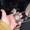 Posable Soft Finger Mice - Etsy