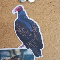 Red Tailed Hawk Sticker, Bird Sticker, Birdwatching Sticker, Birding ...