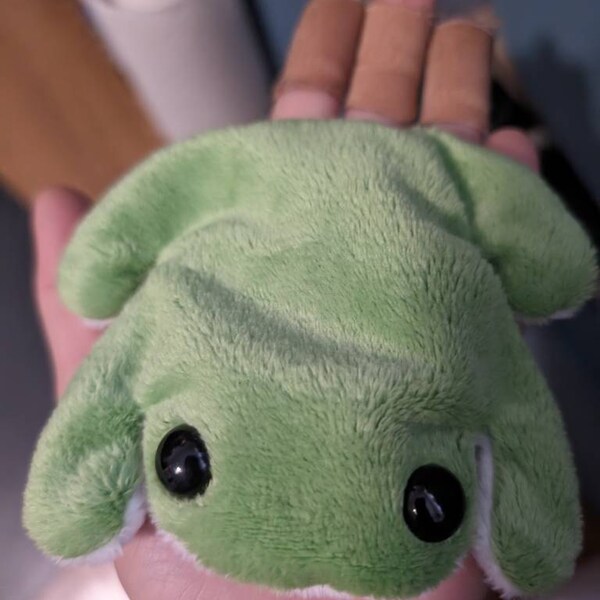 Frog Plush// Pocket Frog Plushie// Bean Bag Frog// Toad Plushie - Etsy
