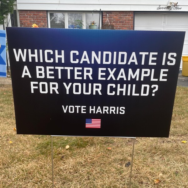 Anti Elon Musk Tesla Car Magnet - Etsy