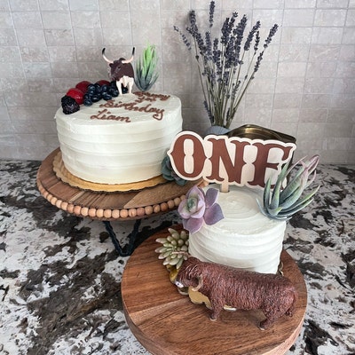My First Rodeo, First Rodeo Cake Topper, Western First Birthday, Cowboy ...