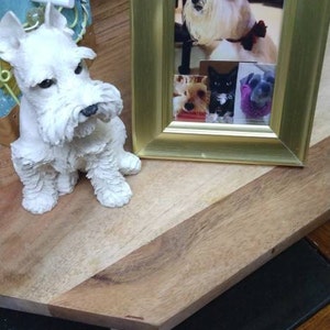 Survivor Fire Token Replica 3 Set Torch Coins Handmade Fan Made USA ...