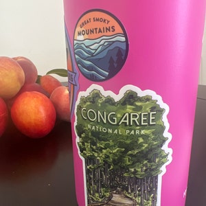 Watercolor Florida Grown Orange Die Cut Sticker - Etsy