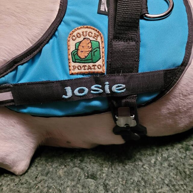 PetHaus - Etsy Australia