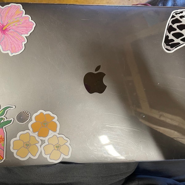 Choose Aloha Rainbow Sticker, Teal - Hawaii Sticker - Aloha Sticker ...