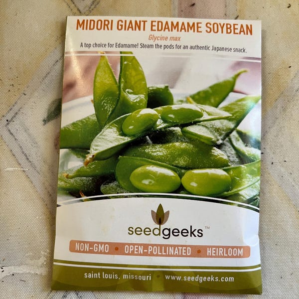 Midori Giant Edamame Seeds - Heirloom Seeds, Organic Soybean, Japanese ...
