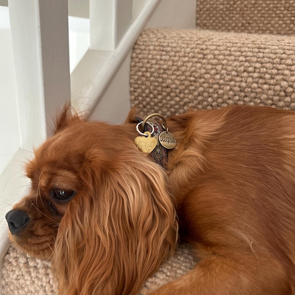 Dog Neck Band With Name. Custom Pet Id. Engraved Dog Collar. Custom Cat ...