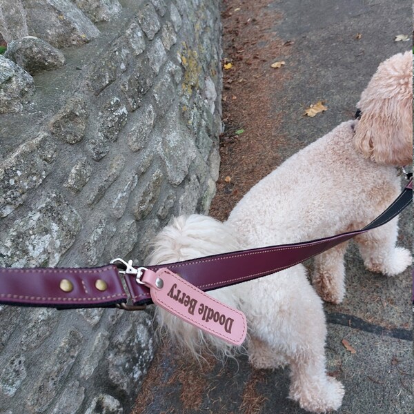 Leather Dog Leash, Leather Dog Accessories, Personalized Dog Leash ...