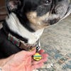 Gotags Silent Dog Tag With Design, Personalized Engraved Silicone Dog ...
