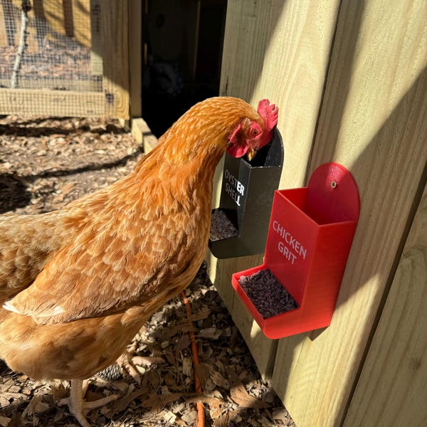 Chicken Oyster Shell/grit Feeder – 3D Printed, Mess-free Design for ...