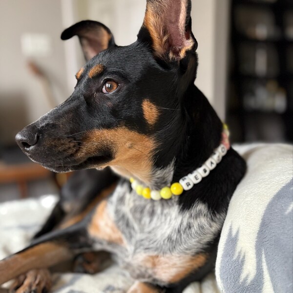 Personalized Dog Collar With Name,bead Dog Collar, Custom Dog Collar ...