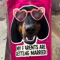 Bridal Wedding Veil Last Rodeo Bachelorette Bridal Shower Gift ...