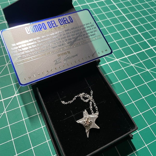 Spacex & ISS Flown NASA Vector Label - Flown in Space - NASA - Etsy