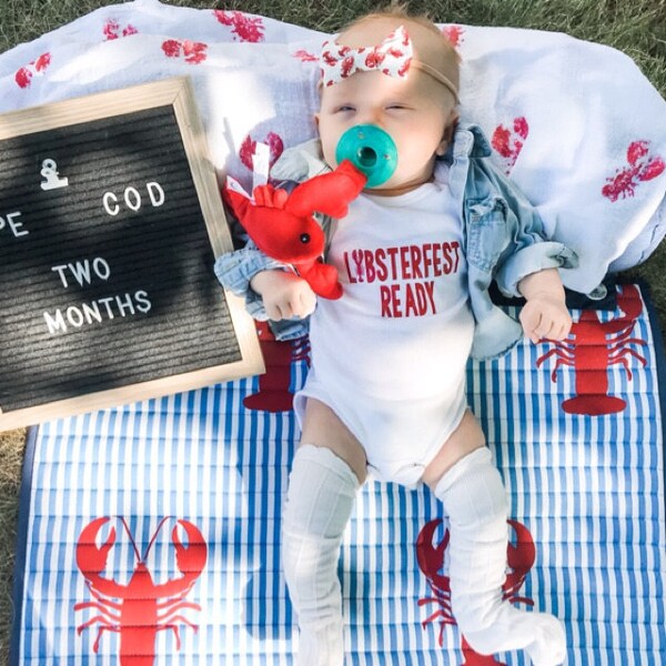 Ohio State - Mini Blanket - Swaddle Blanket - Lovey - Cotton - Red ...