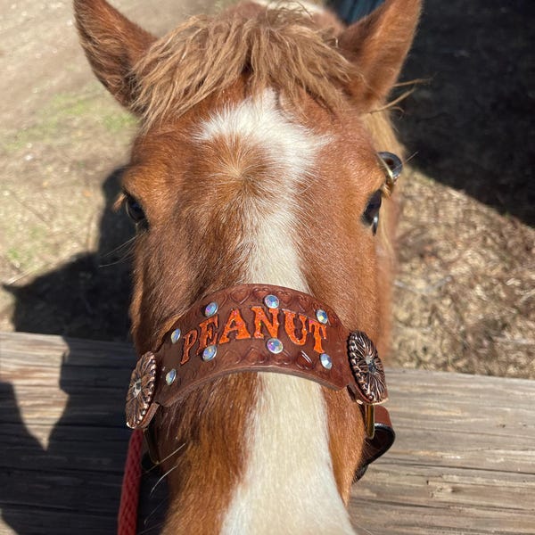 22 Colors! Yacht Rope 10" Bit Hobbles/curb Strap - Horse Tack - for Use ...