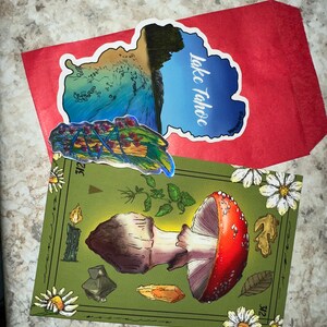 Mushroom Girl Sticker, Mushroom Lady Sticker, Mushroom Art, Pink ...