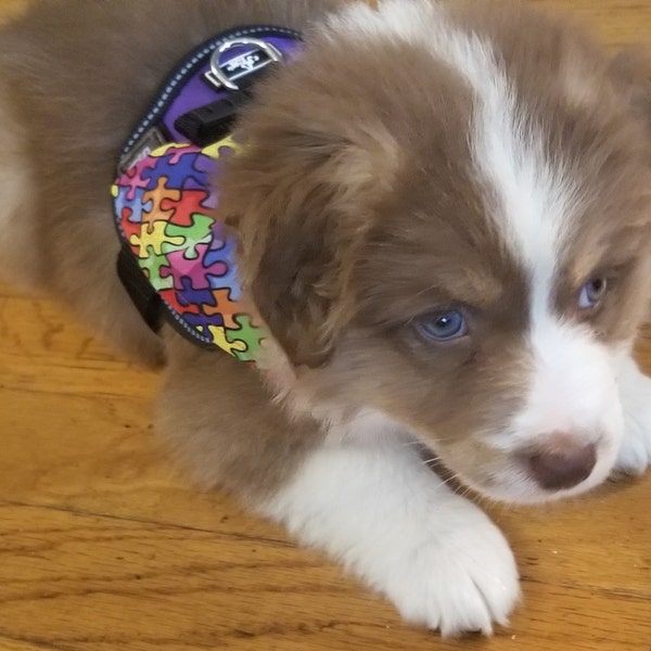 Personalized Autism Awareness Bandana, Puzzle Dog Collar Scarf, Pet ...