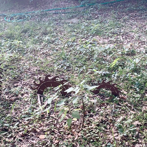 Rusty Metal Dragon Garden Sculpture / Sea Serpent Garden Sculpture ...