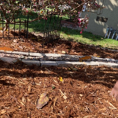 Rainbow Trout Stake Small Metal Fish Garden Stakes GP185 - Etsy